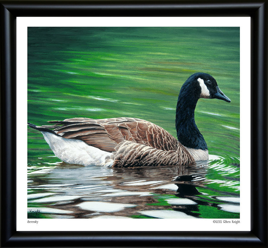 Print Frames – Wolf Creek Printery